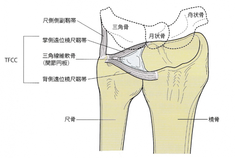 TFCC損傷 | トリガーポイント療法専門 もりかわ鍼灸治療院